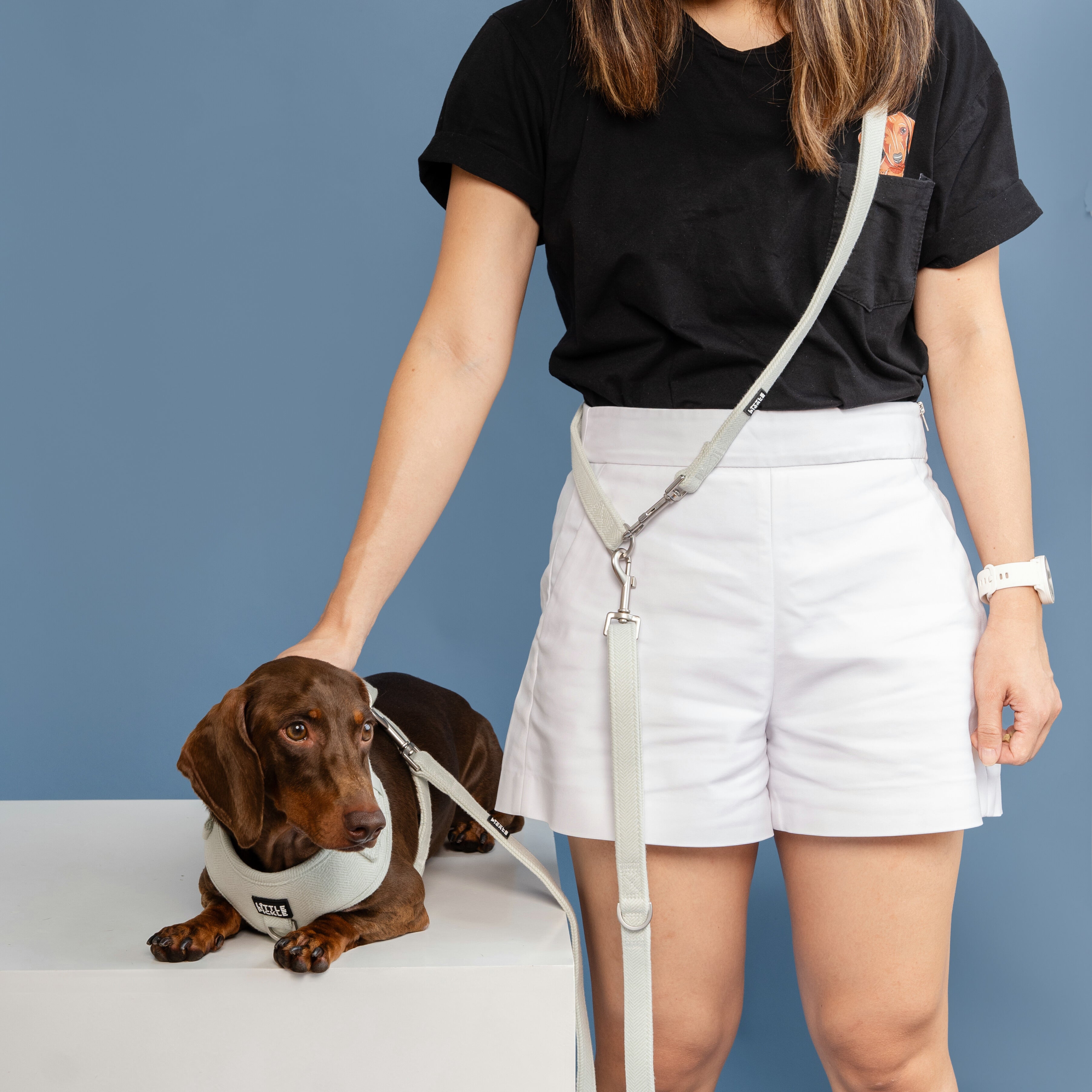 Hands-Free Leash Extender ONLY – Little Pickle